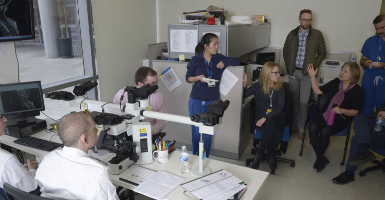Treatment Options - Brain Tumor | Johns Hopkins Pathology Treatment Options - Brain Tumor | Johns Hopkins Pathology
